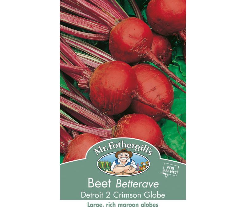 202-B – BEETROOT DETROIT 2 Crimson Globe | Dunvegan Gardens
